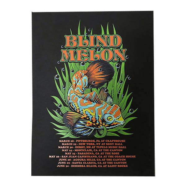 Artwork – Blind Melon Official Shop